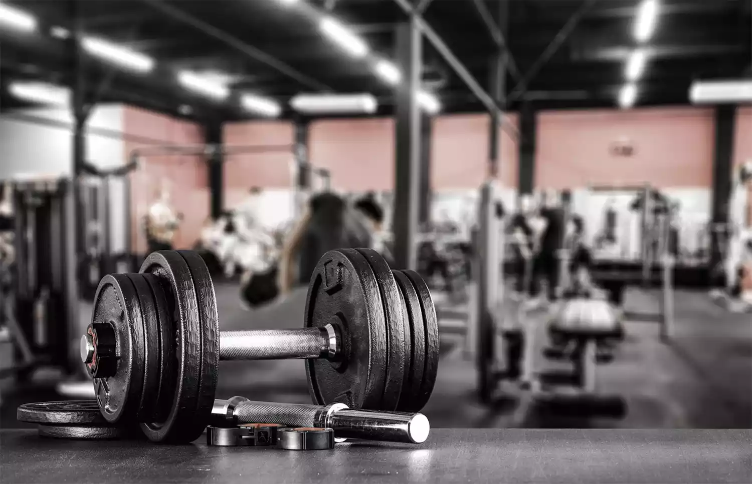 Equipment - Physique Factory Gym